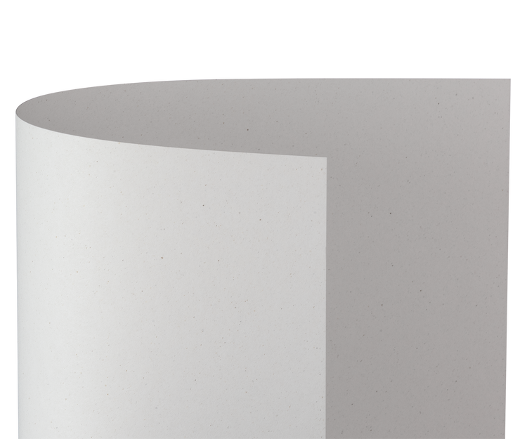 Alga Carta – City Papery